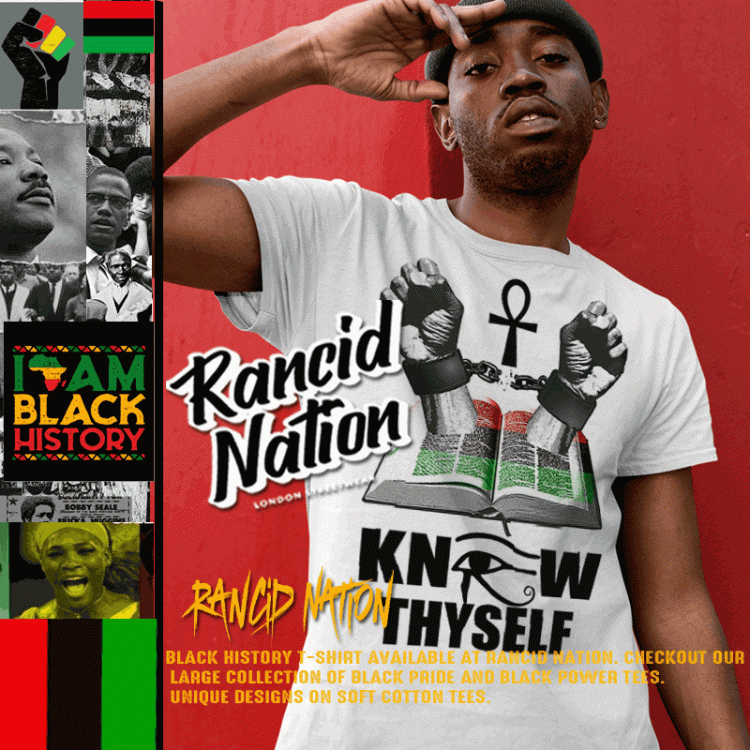 melanin t shirt and melanin clothing